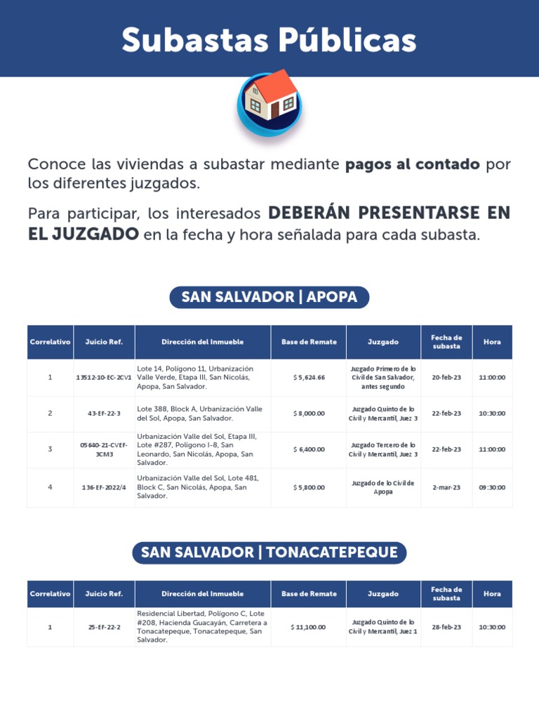 Subastas-Publicas 13022023 | PDF