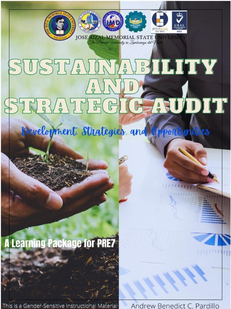 Unit 2 Strategy and Sustainability | Download Free PDF | Strategic ...