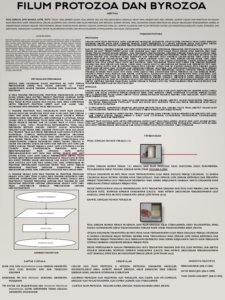Filum Protozoa Dan Byrozoa | PDF