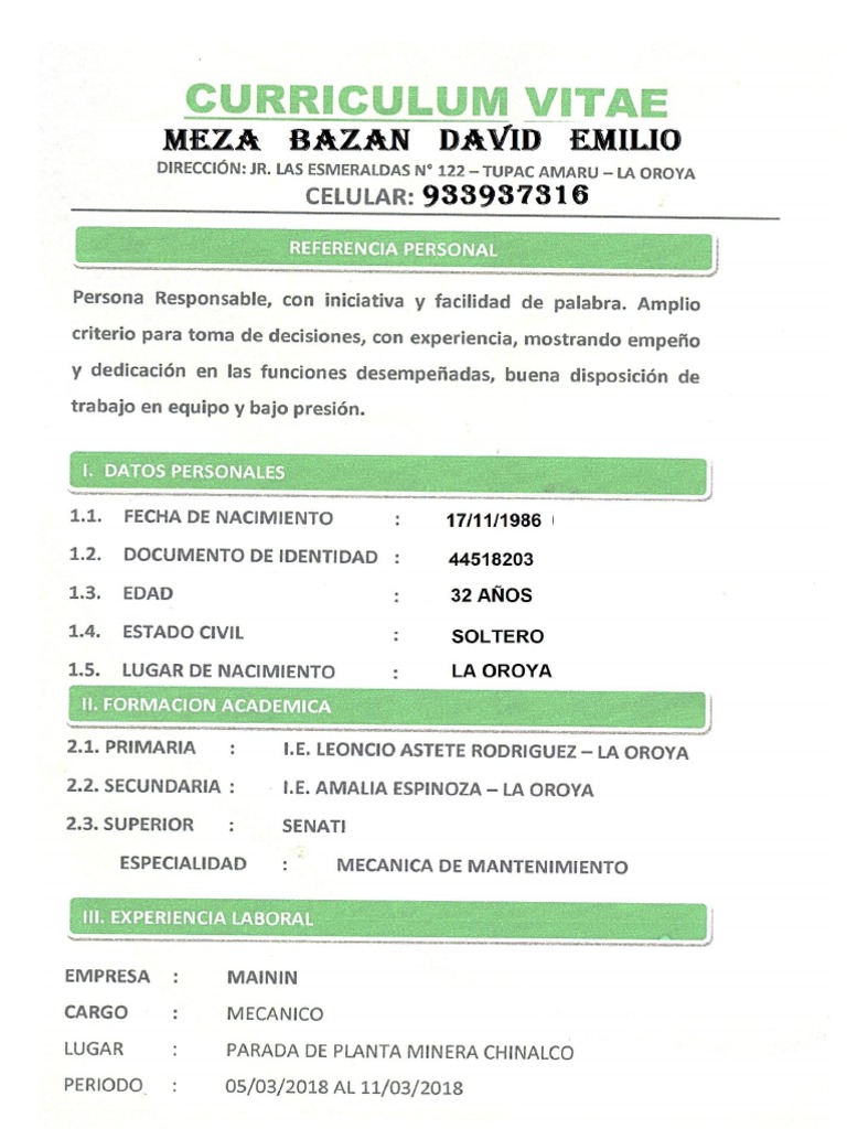CV David Bazan | PDF