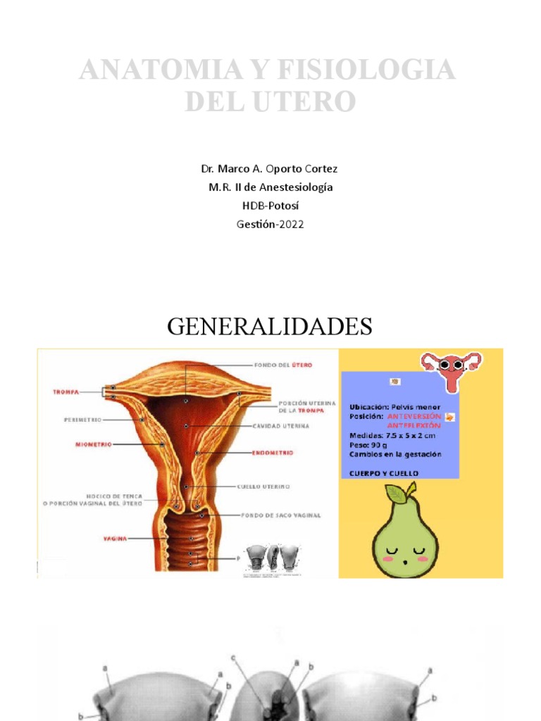 Fisiologia y Anatomia Del Utero | PDF | Útero | Vagina