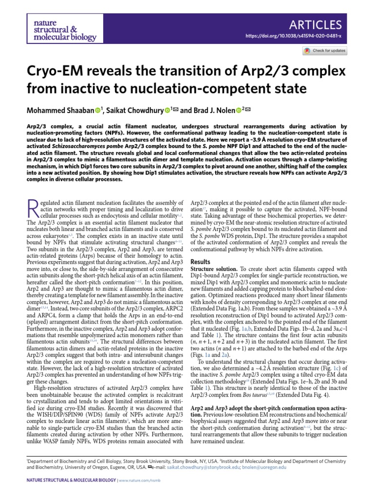 Cryo-EM Reveals The Transition of Arp2-3 Complex From Inactive To Nucleation-Competent State | PDF