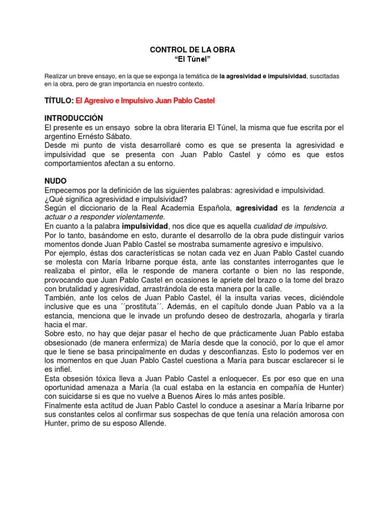 Agresividad de Juan Pablo Castel en El Túnel | PDF | Ficción general