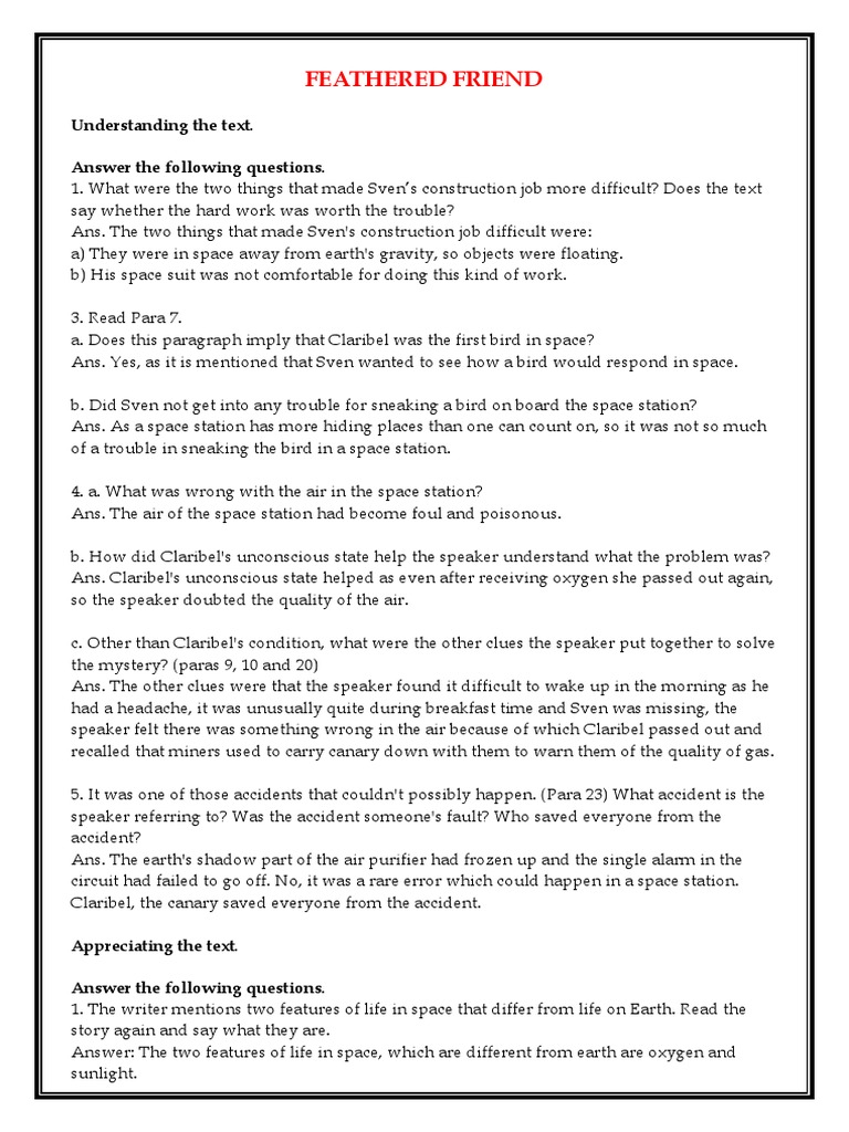 Feathered Friend | PDF