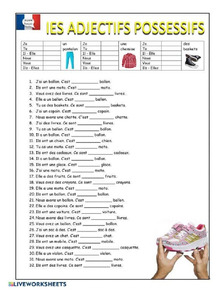 Les Adjectifs Possessifs | PDF