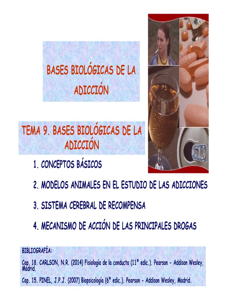 Bases Biológicas de la Adicción | PDF | Drogas | Cerebro