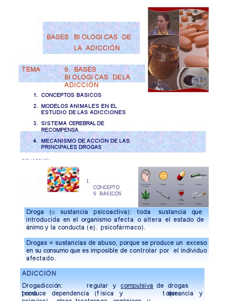 Bases biológicas de la adicción | PDF | Drogas | Farmacología