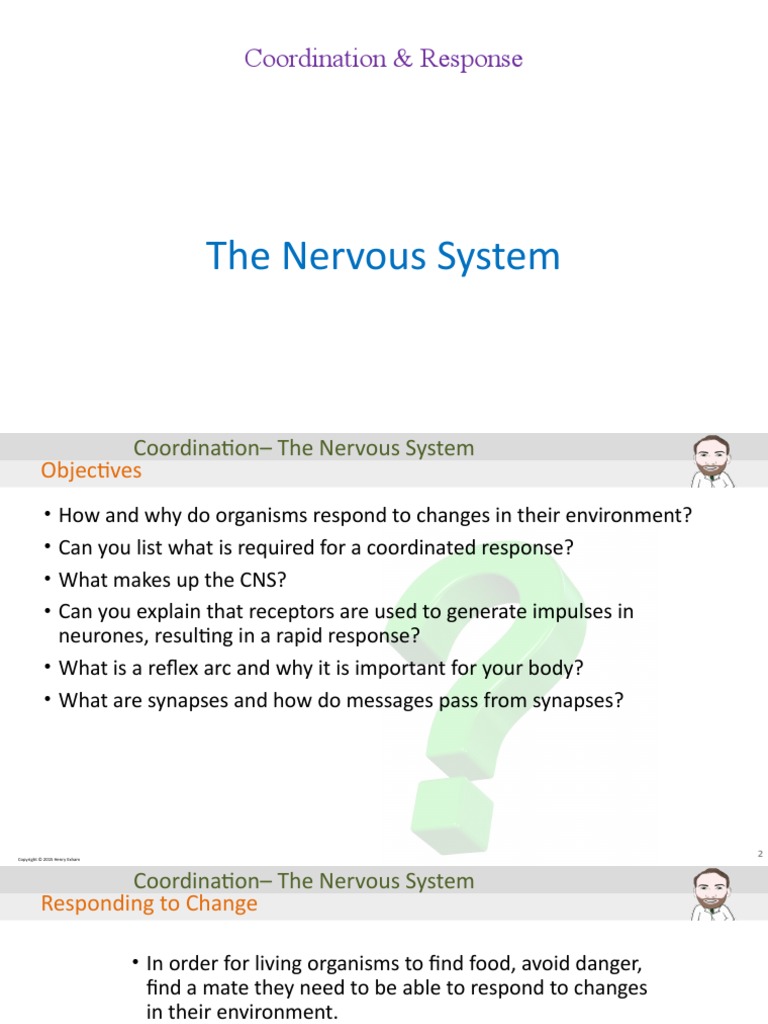 The Nervous System | PDF | Nervous System | Neuron