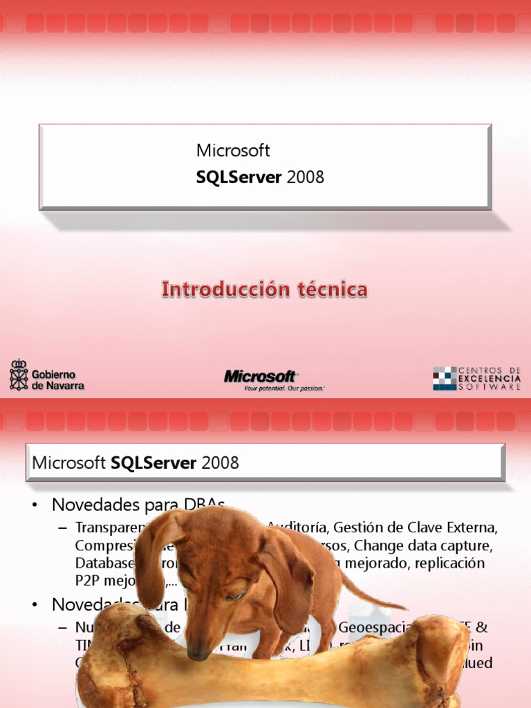 CES Microsoft - SQLServer 2008 | PDF
