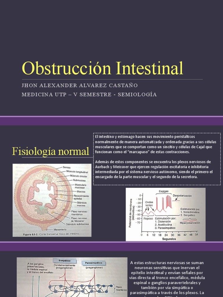Obstrucción intestinal: causas, síntomas y diagnóstico | PDF | Medicina ...