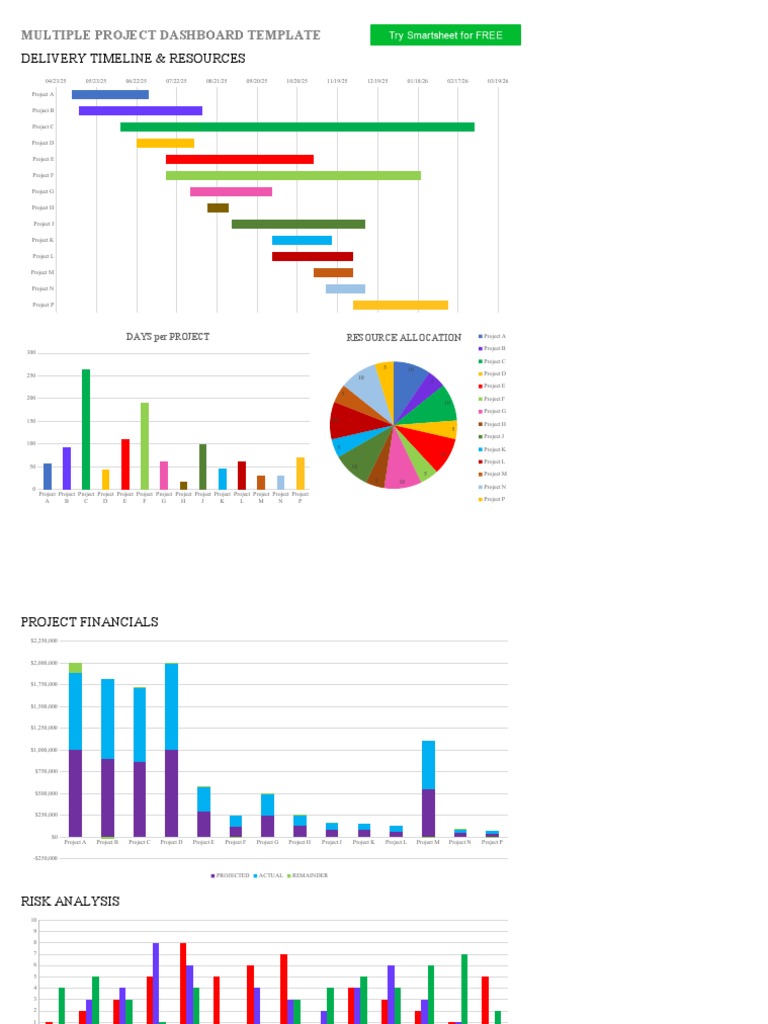 IC Multiple Project Dashboard Template 10689 | PDF | Computing