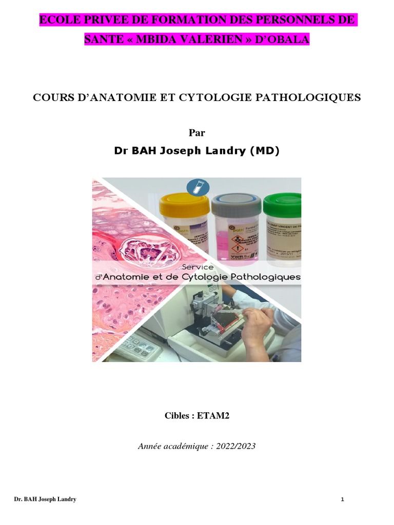 Anatomie Et Cytologie Pathologie 5 | PDF | Anatomie | Système génito ...