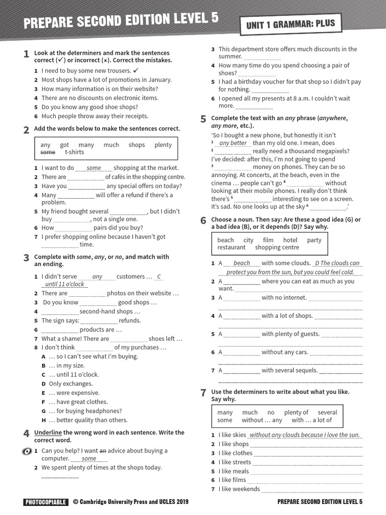 PREPARE 5 Grammar Plus Unit 01 | PDF