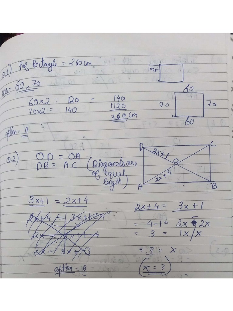 Mohammed Rayan - Math Holiday HW - 25281 | PDF