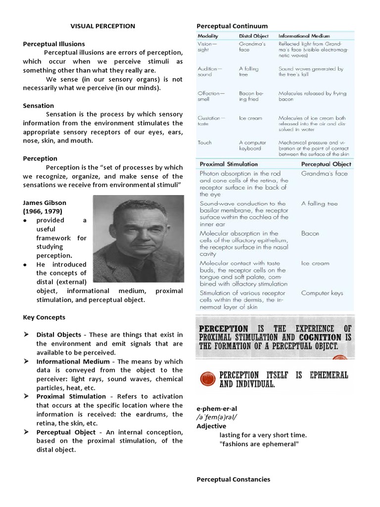 VISUAL PERCEPTION CogPsych | PDF | Perception | Senses