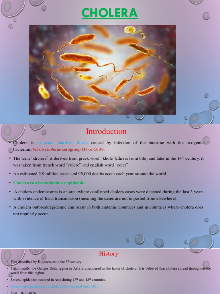 CHOLERA | Download Free PDF | Cholera | Epidemiology