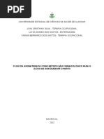 Anatomia da Vagina: Estruturas e Funções | PDF | Vagina | Clitóris