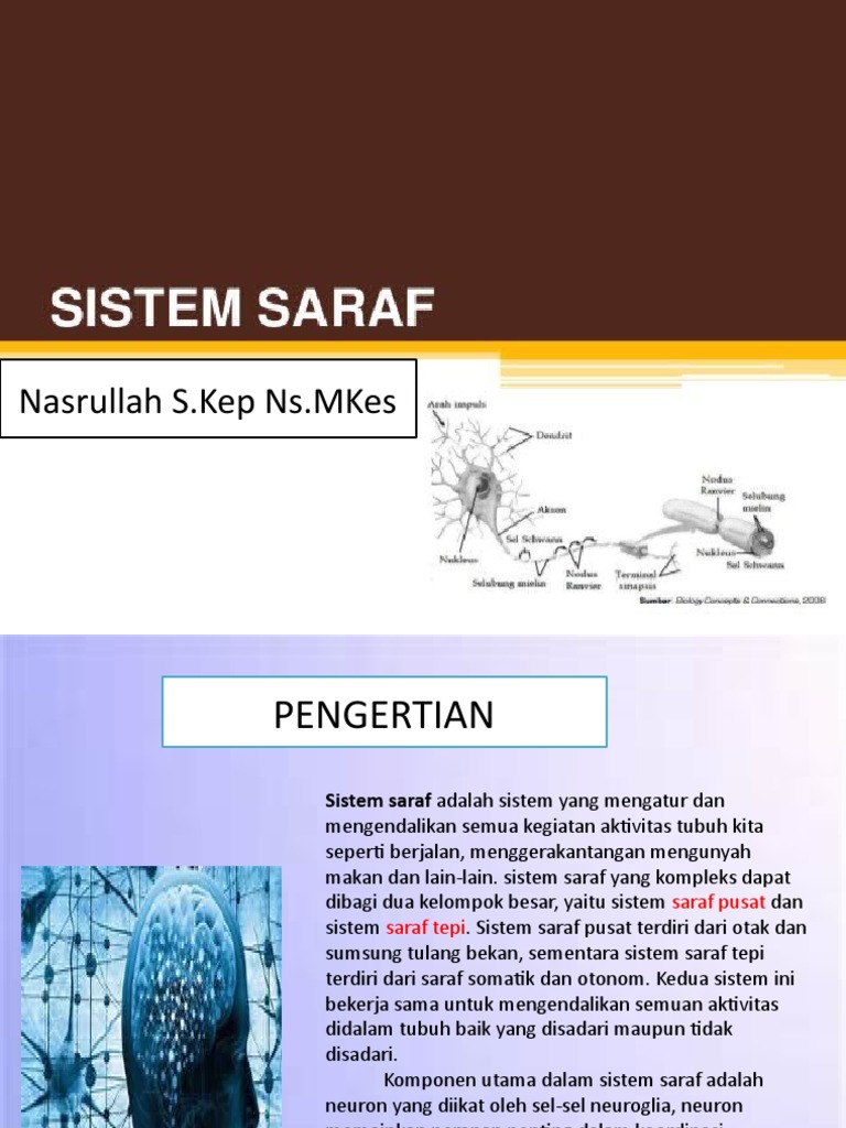Sistem Saraf Manusia-1 | PDF | Pengembangan Diri | Sains & Matematika