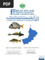 NOAA Shark Identification Placards | PDF | Sharks | Vertebrates