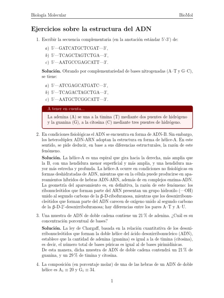 Ejercicios | PDF | Adn | Rna