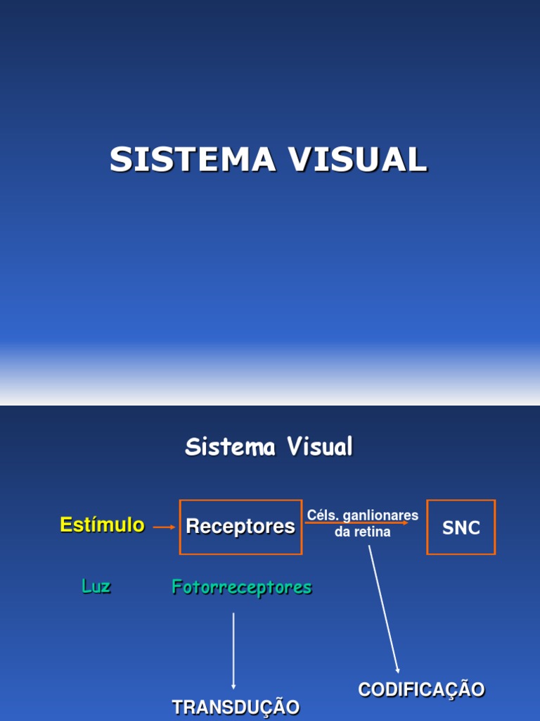 Visual | PDF | Sistema visual | Retina
