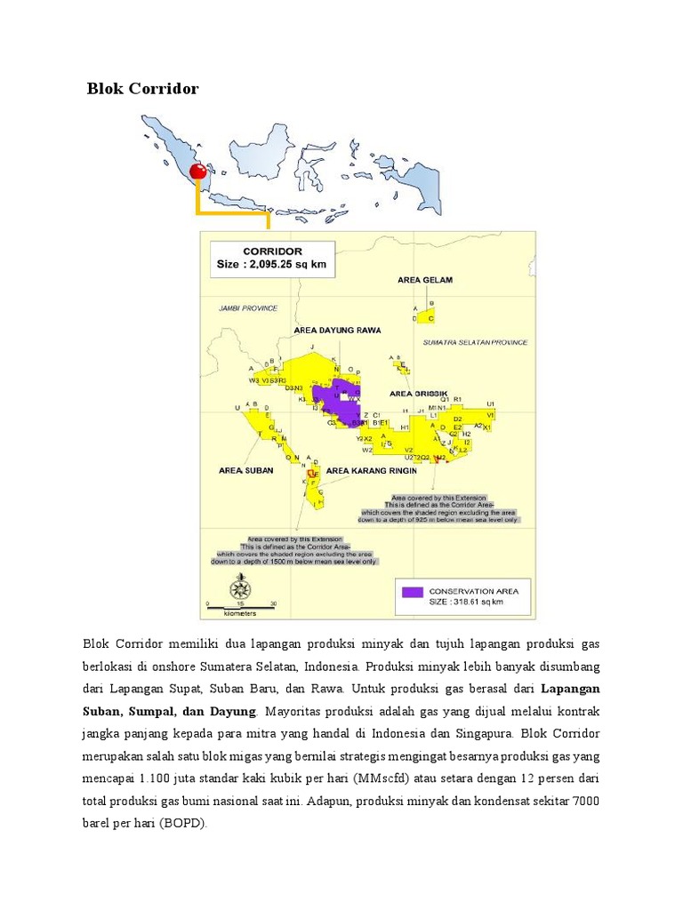 Blok Corridor | PDF | Teknologi & Rekayasa