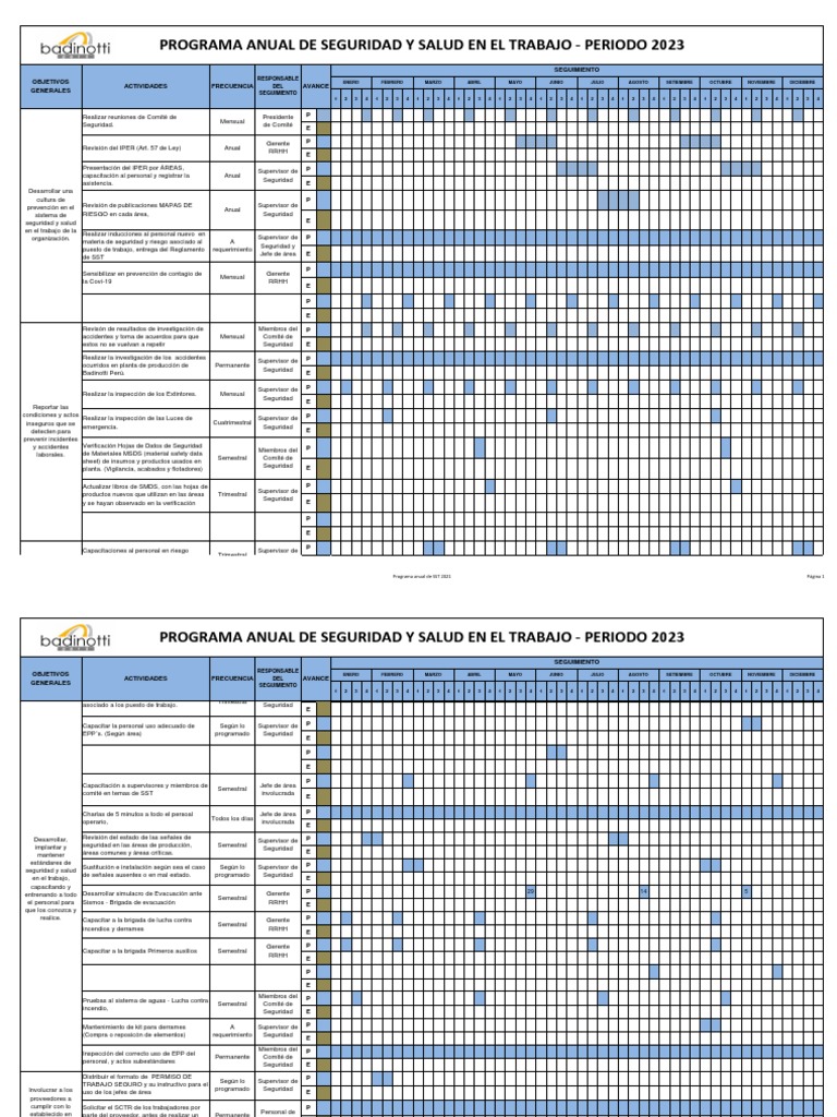 Programa Anual de Seguridad y Salud en El Trabajo | PDF