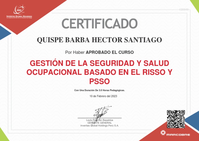 Curso Gestión de La Seguridad y Salud Ocupacional Basado en El RISSO y PSSO - Doc 48312090 ...