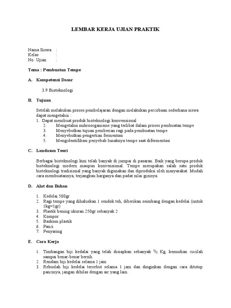 Lembar Kerja Ujian Praktik | PDF