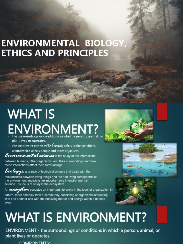 Lesson 1 Ecology and Ethics | PDF | Ecosystem | Natural Environment