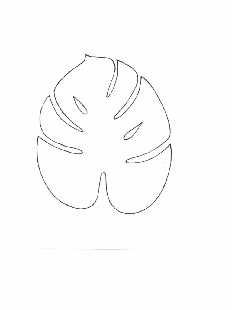Montserrat Leaf Pattern | PDF