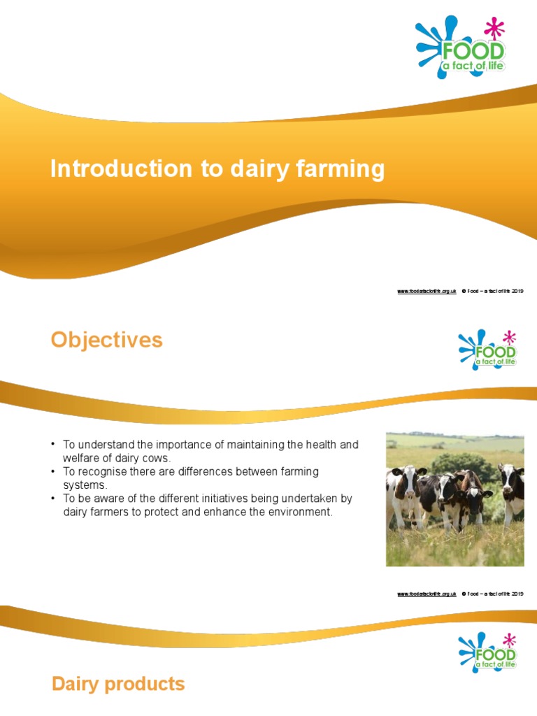 Introduction To Dairy Farming PPT 1114fcd | PDF | Dairy Cattle | Dairy ...