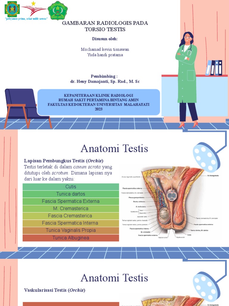 Gambaran Radiologi Torsio Testis | PDF