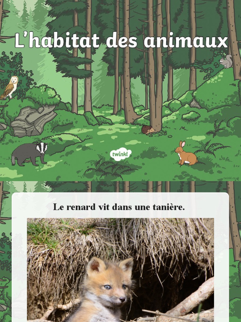 Habitat Des Animaux | PDF