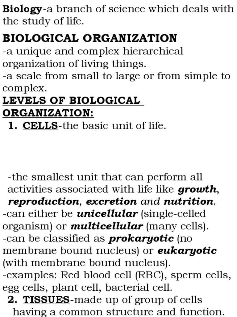 Levels of Biological Organization | PDF