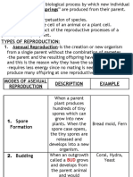 2023 NS_GRADE_7_PRACTICAL_TERM_1 | PDF | Germination | Seed