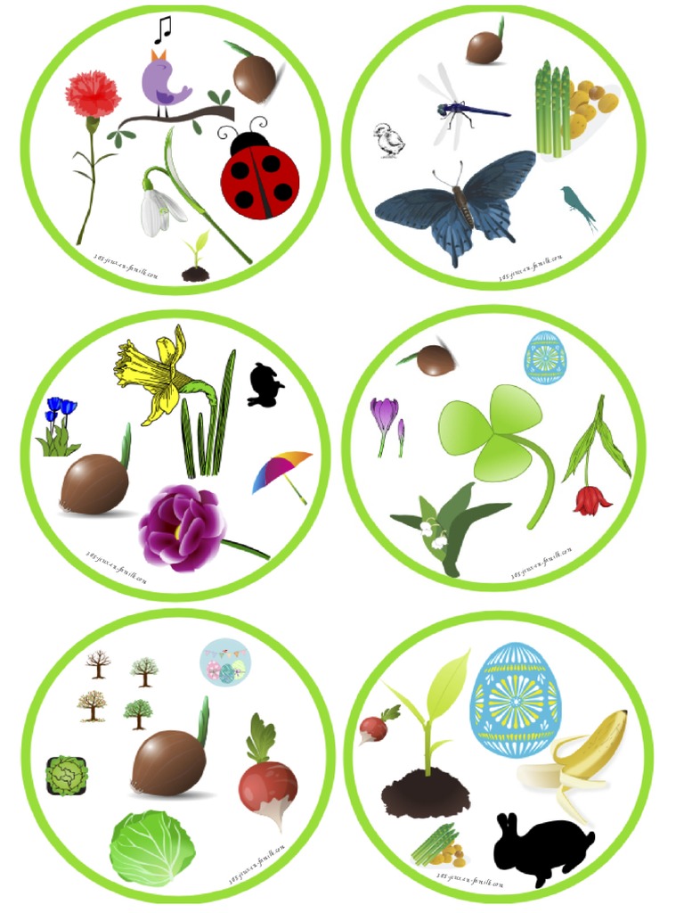 Dobble Printemps | PDF