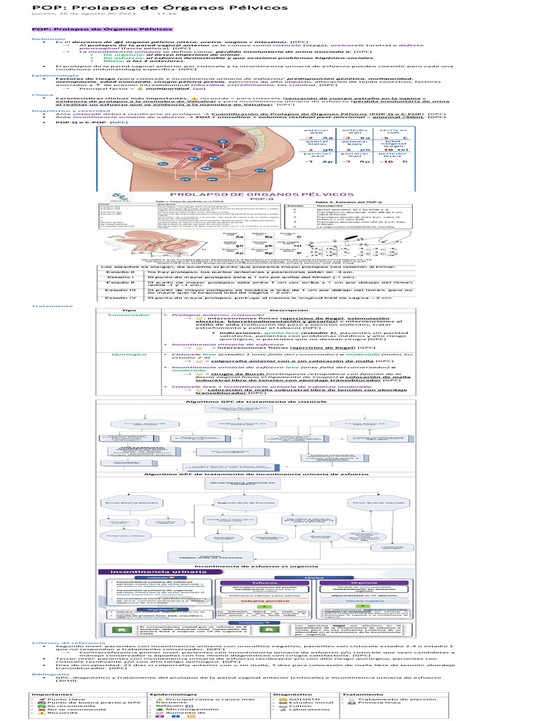 POP Prolapso de Órganos Pélvicos - Compressed | PDF | Urología ...
