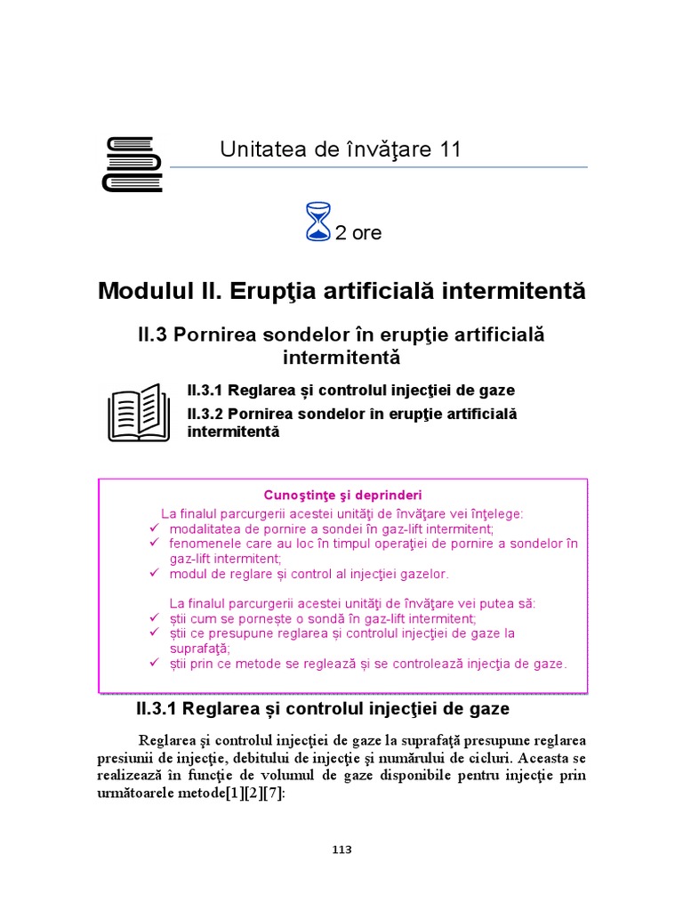 Modulul II. Erupţia Artificială Intermitentă: Unitatea de Învǎţare 11 | PDF
