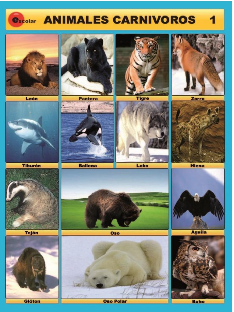 Laminas Escolar | PDF