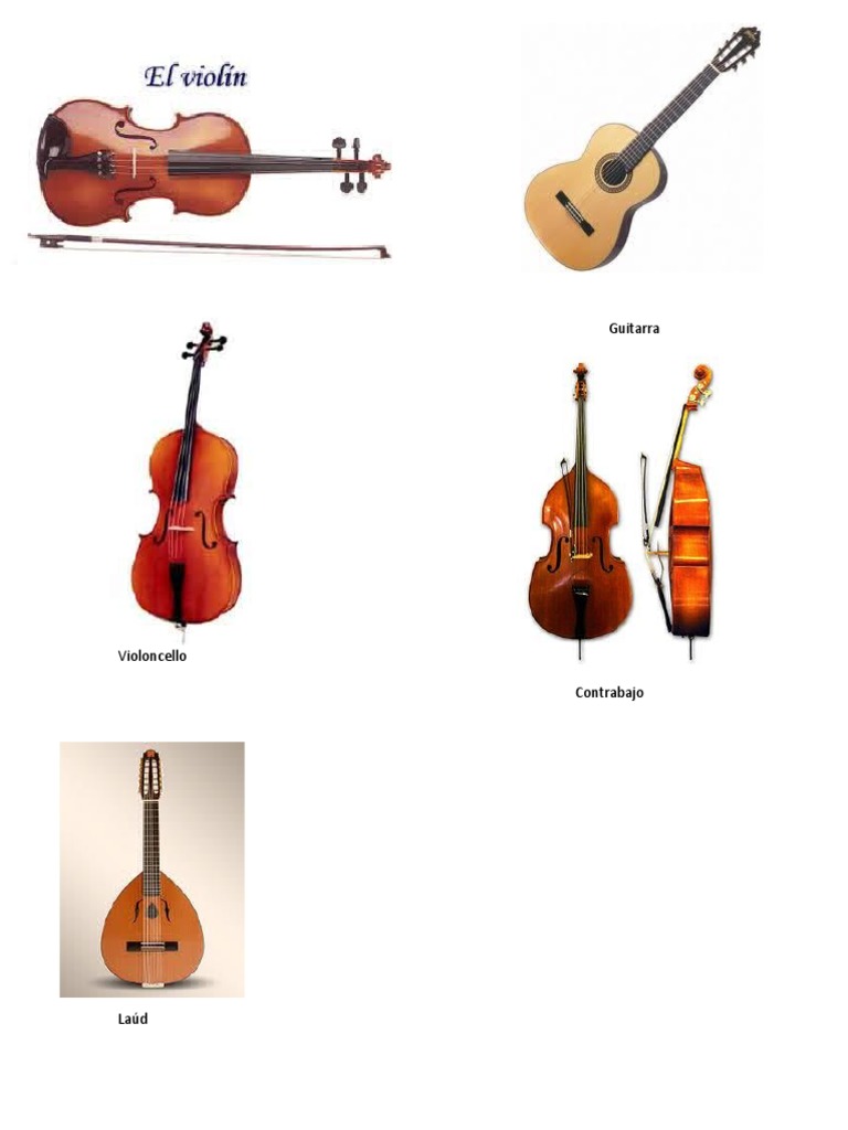 Instrumentos de Cuerda Viento, Percusión y Electronicos | PDF