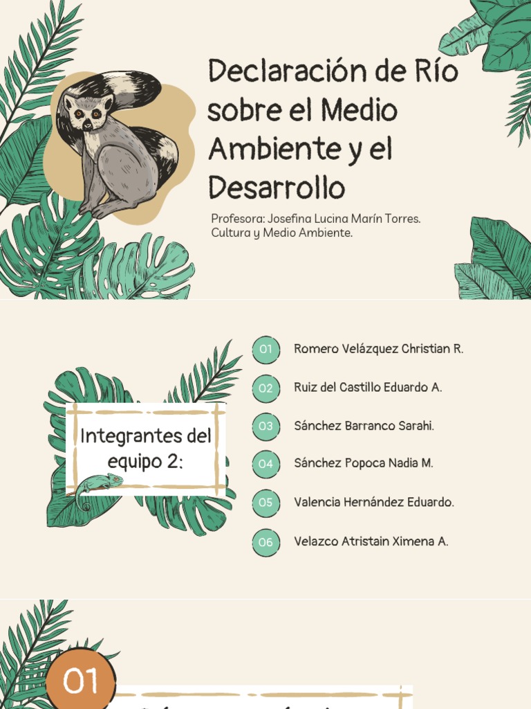 Declaración de Río Sobre El Medio Ambiente y El Desarrollo | PDF ...