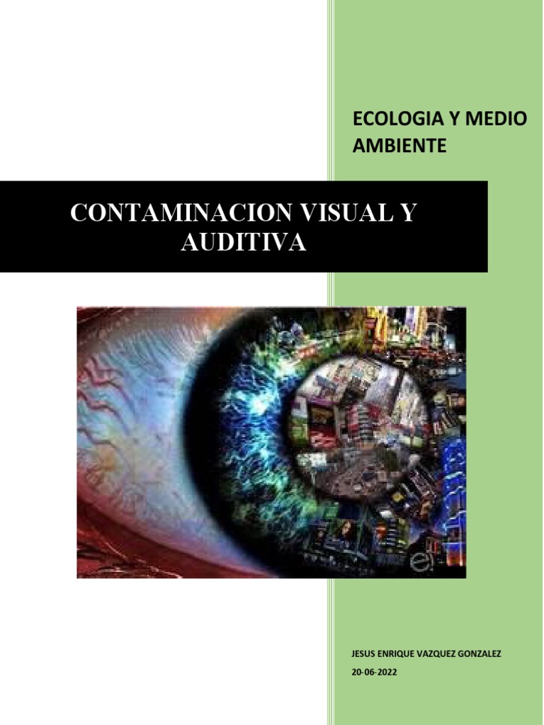 Contaminación Visual y Auditiva: Causas y Efectos | PDF | Contaminación