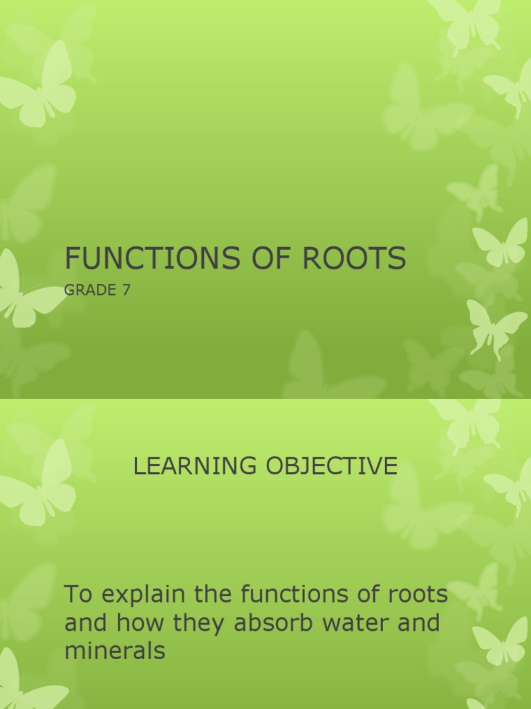 Functions Of Roots Pdf