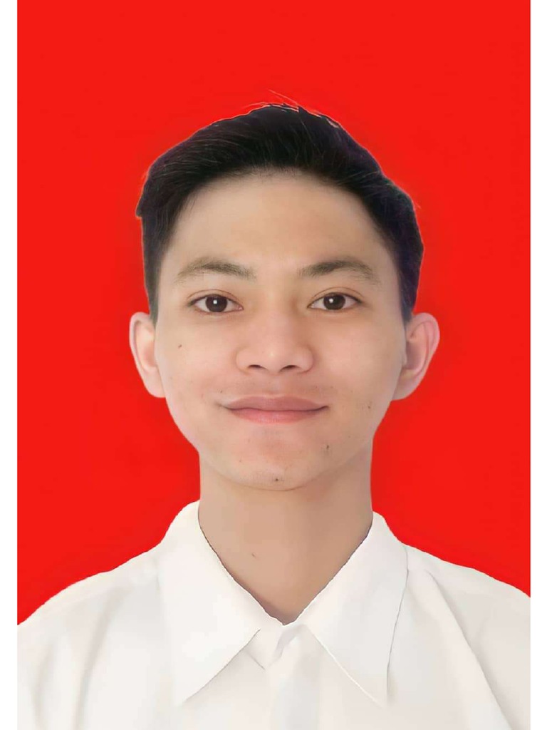 CV and Application Form Handika Hamzah | PDF