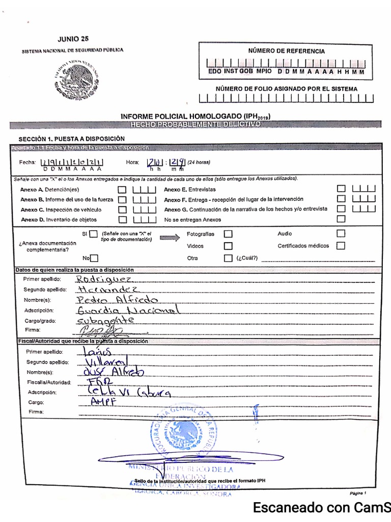 Iph Aseguramiento Droga | PDF