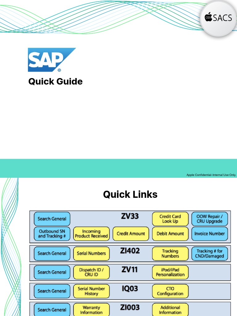 SAP Internal Quick Quide | PDF | Invoice | Apple Inc.
