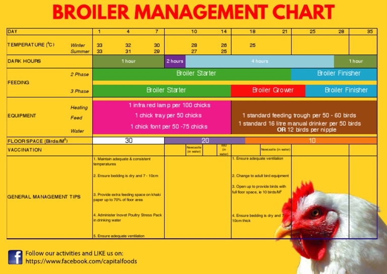 CAPITAL FOODS Broiler Management Chart A5amended | PDF | Broiler | Poultry Farming