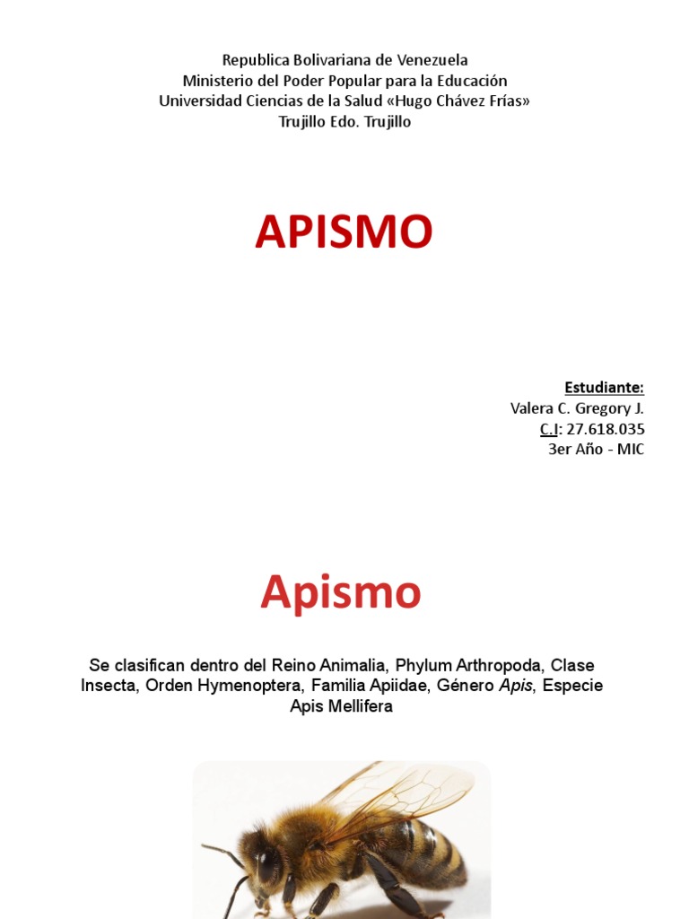 APISMO | PDF
