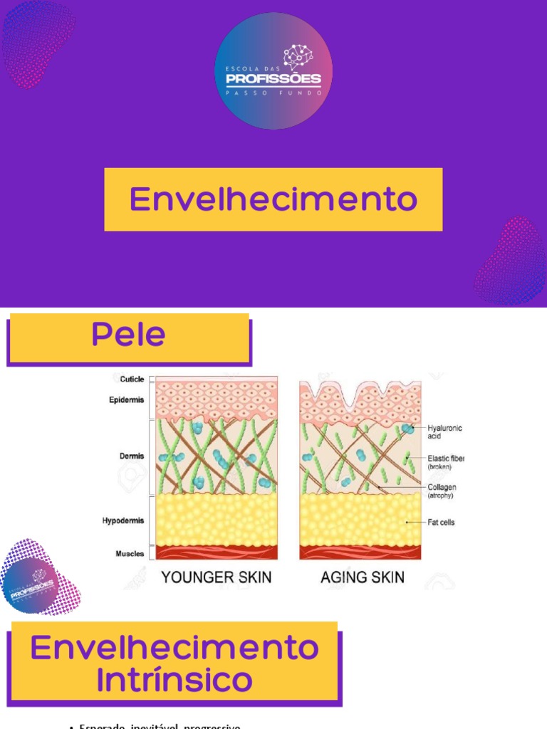Aula - 5 - Envelhecimento Da Pele | PDF